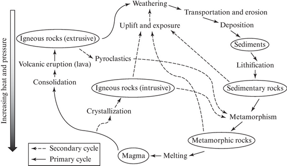 ACT Science Question 3: Answer and Explanation_ACTexam.net