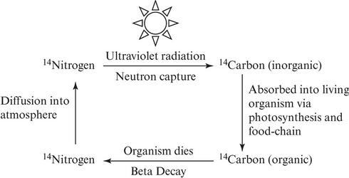 ACT Science Question 200: Answer and Explanation_ACTexam.net