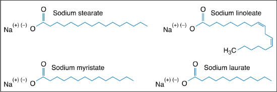 ACT Science Question 261: Answer and Explanation_ACTexam.net