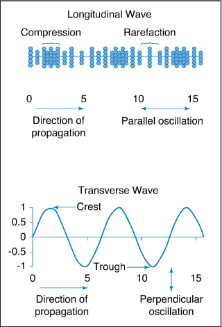 ACT Science Practice Test 49_ACTexam.net