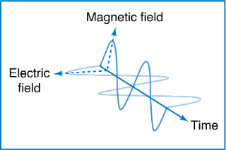 ACT Science Practice Test 49_ACTexam.net