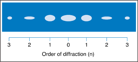 ACT Science Question 315: Answer and Explanation_ACTexam.net